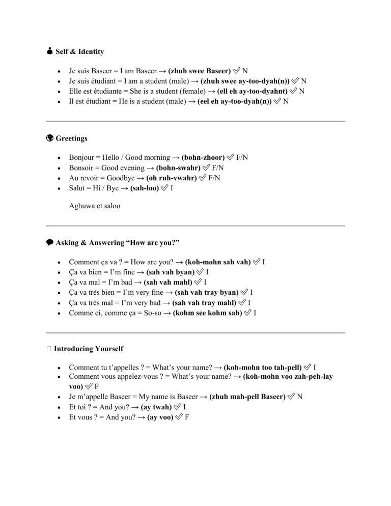 French Language Basics: Greetings, Identity, Verbs, & Vocabulary