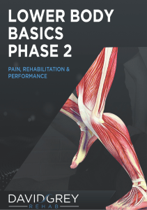 Lower Body Basics Phase 2 Workout Program