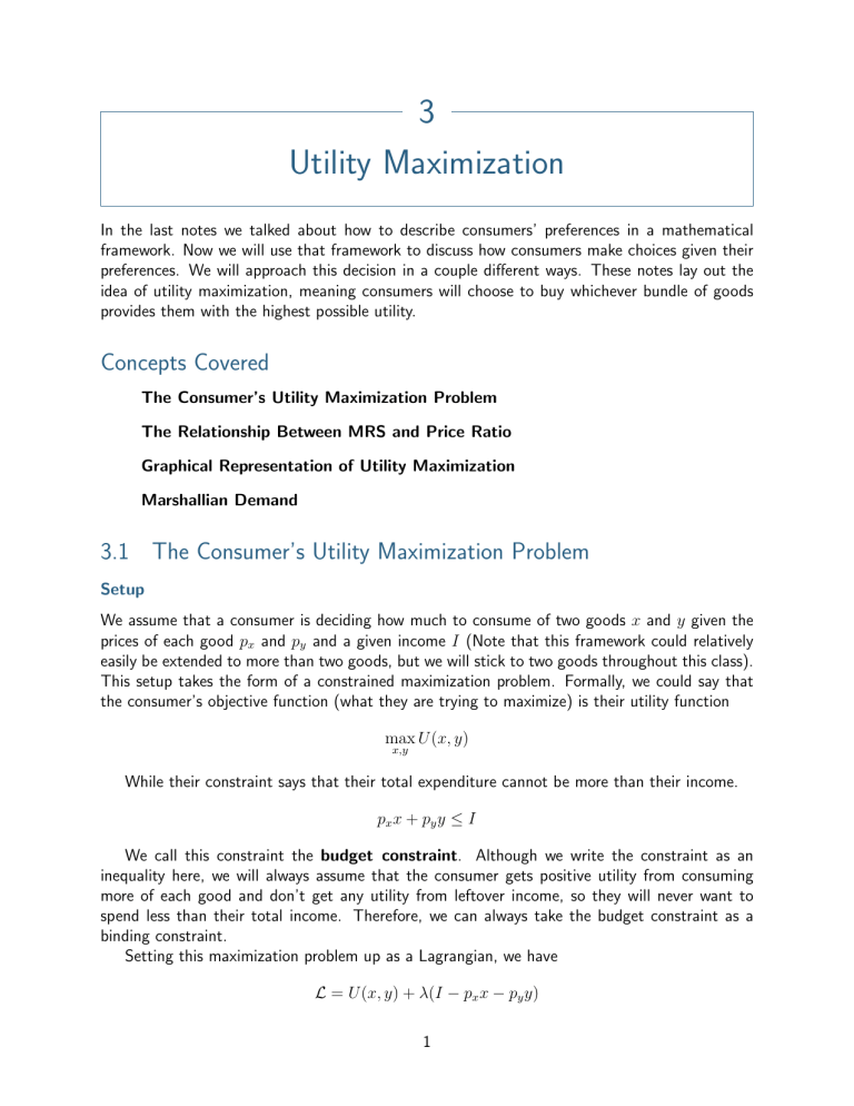 Utility Maximization: Consumer Choice & Budget Constraints in ...