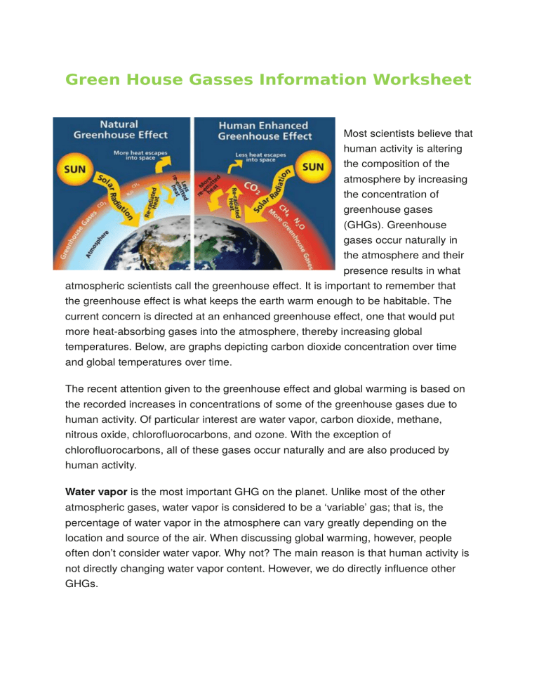 Greenhouse Gases Information Worksheet: Climate Change & Human Impact