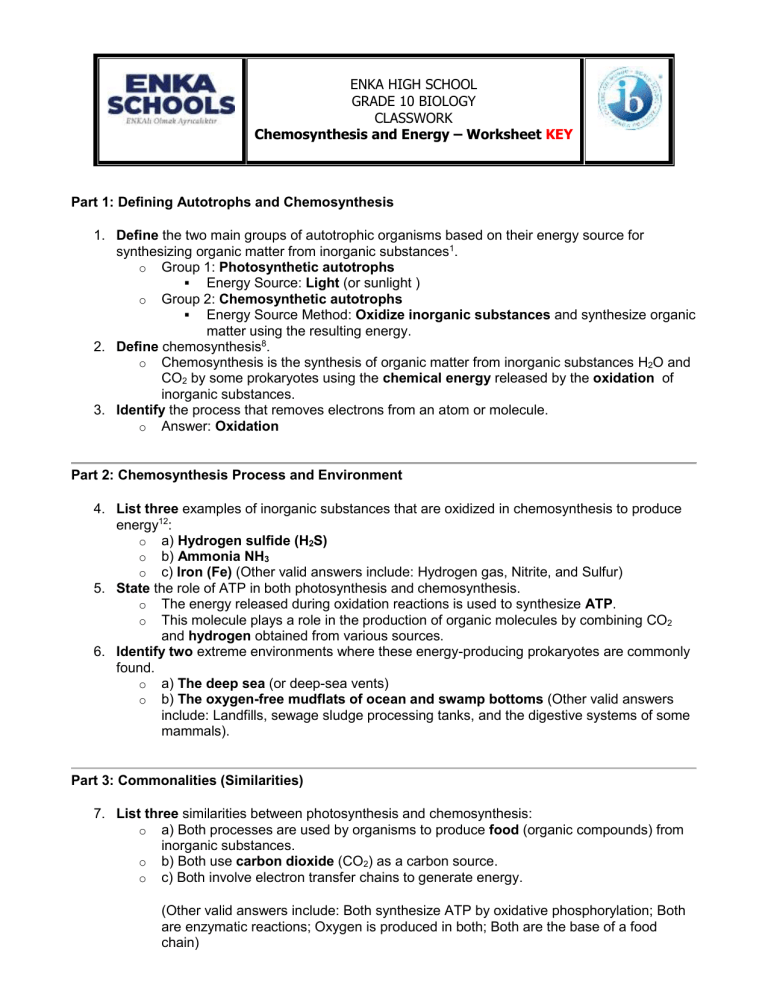 Chemosynthesis & Energy Worksheet - Grade 10 Biology