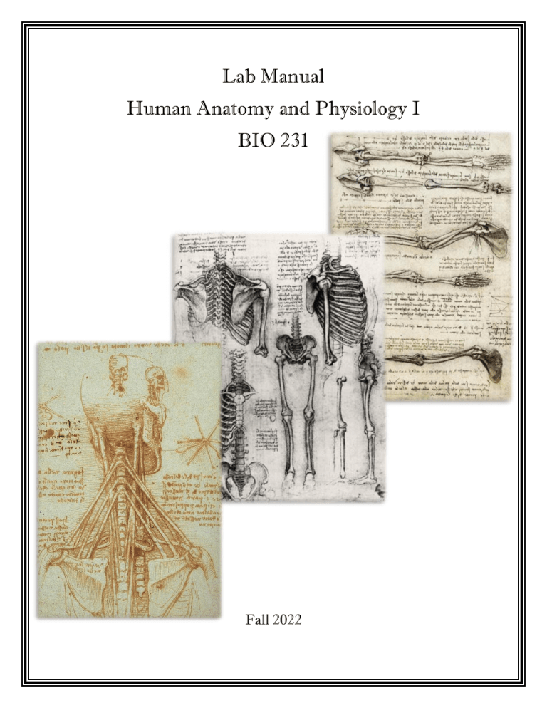 Human Anatomy & Physiology I Lab Manual - BIO 231