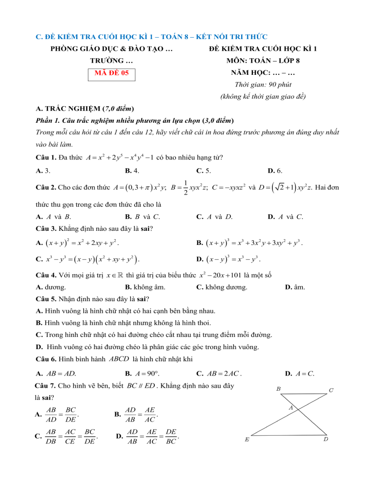 Grade 8 Math End of Semester 1 Exam: Algebra, Geometry, Statistics