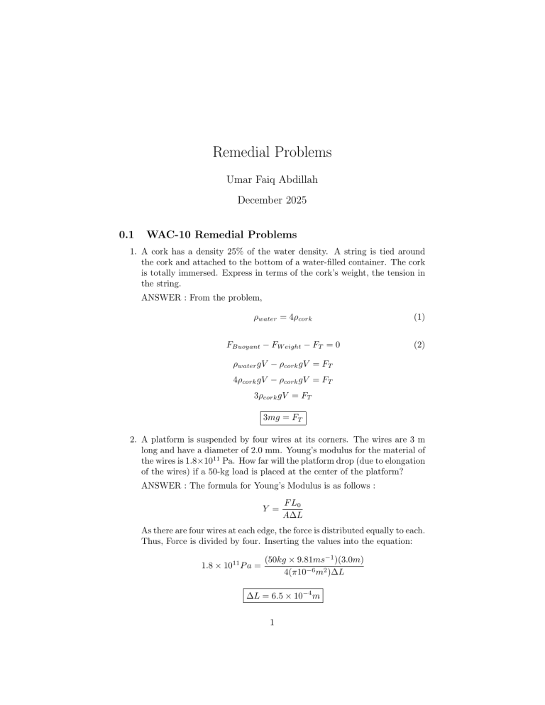 Remedial Physics Problems Workbook with Solutions