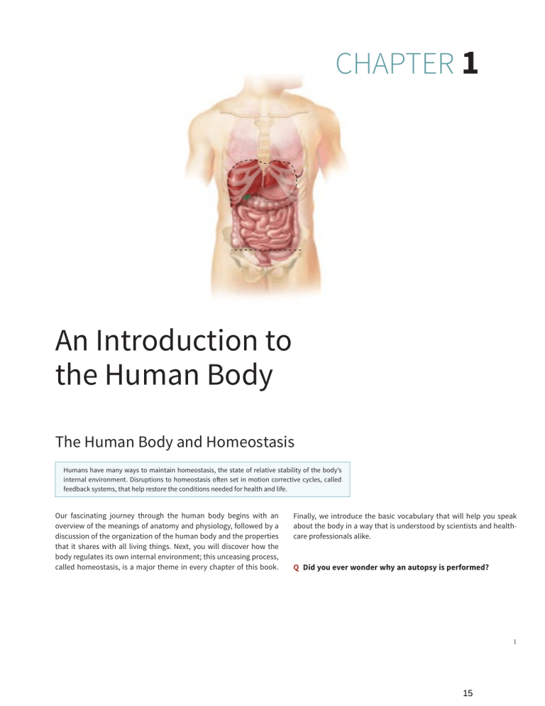 An Introduction to the Human Body - Chapter 1