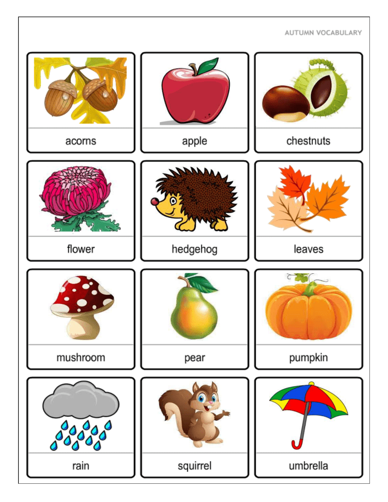 Autumn Vocabulary Worksheet for Kids | Learn Fall Words with Pictures