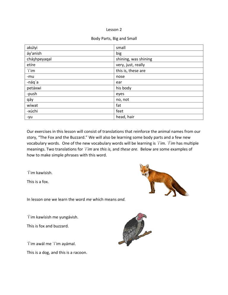 Lesson 2: Body Parts, Big and Small in Páˈanexily (Cupeño)