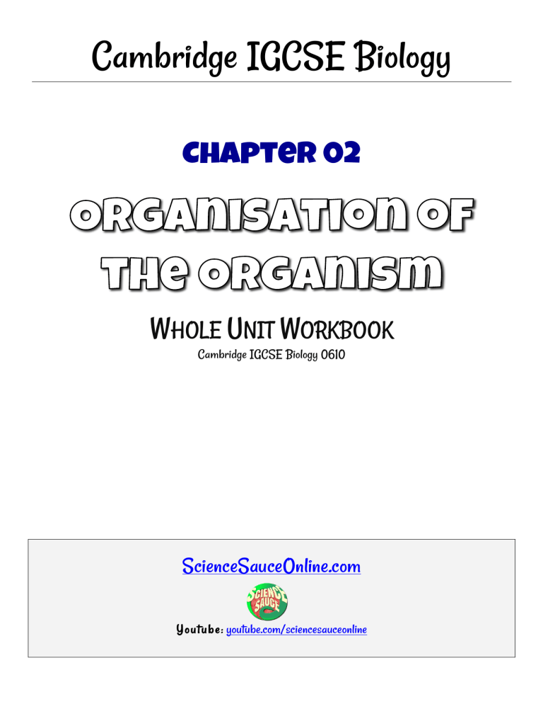 Cambridge IGCSE Biology Chapter 2 Workbook: Organisation of the Organism