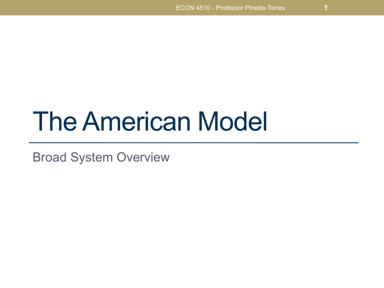 ECON 4510: The American Health Care Model