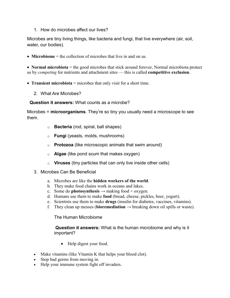 Microbiology Study Guide