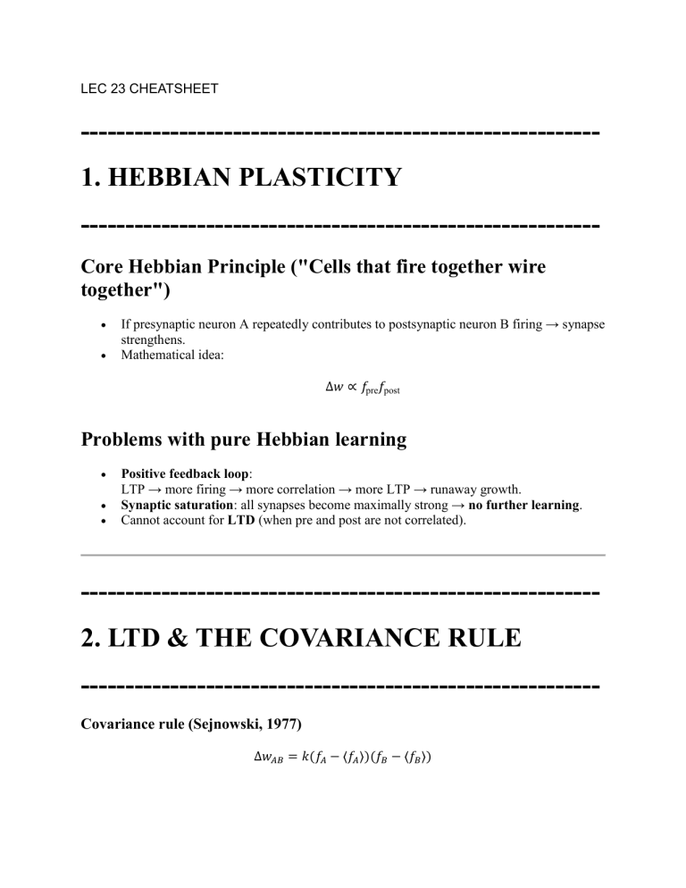 LEC 23 Cheatsheet: Hebbian Plasticity & Synaptic Plasticity
