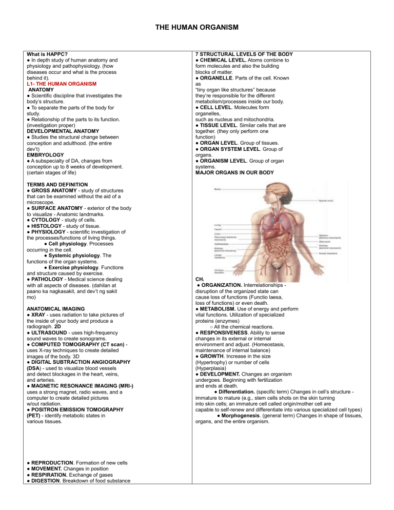 Introduction to Human Anatomy & Physiology Notes