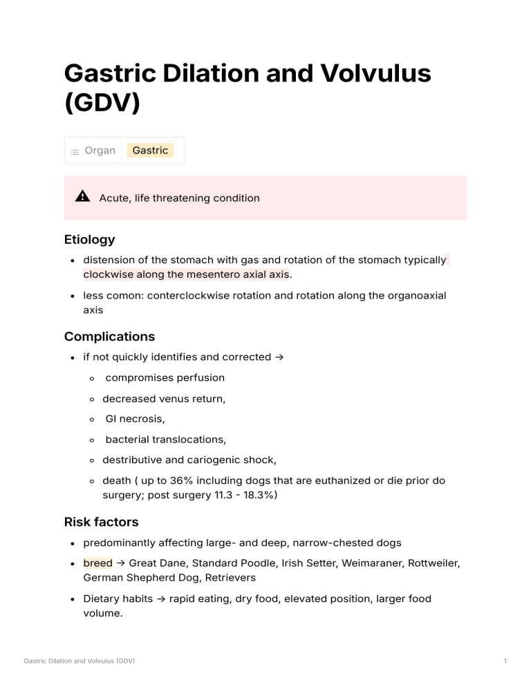 Gastric Dilation and Volvulus (GDV) in Dogs