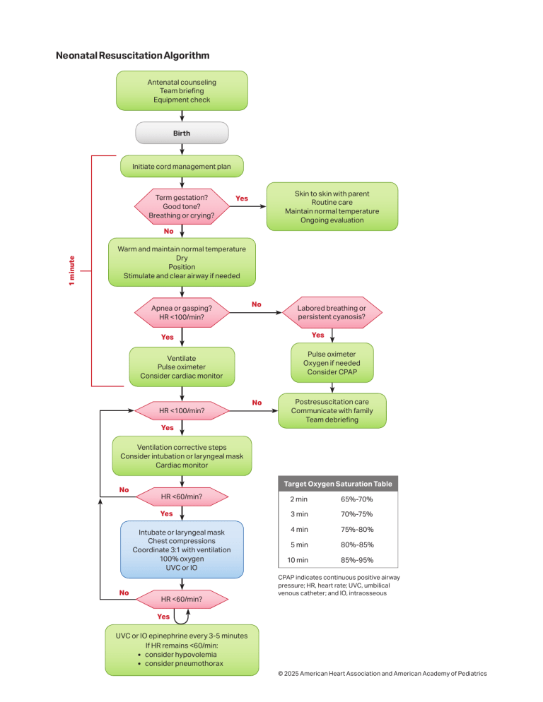 Neonatal & Pediatric BLS Resuscitation Algorithms