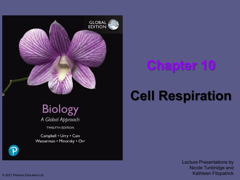 Cell Respiration Chapter 10: Biology Textbook