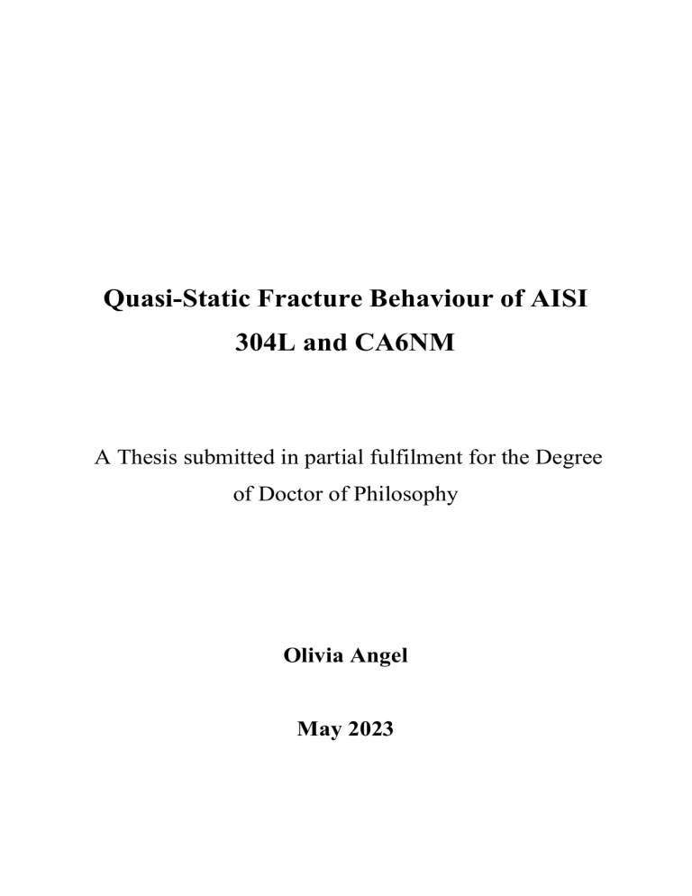Fracture Behaviour of AISI 304L and CA6NM