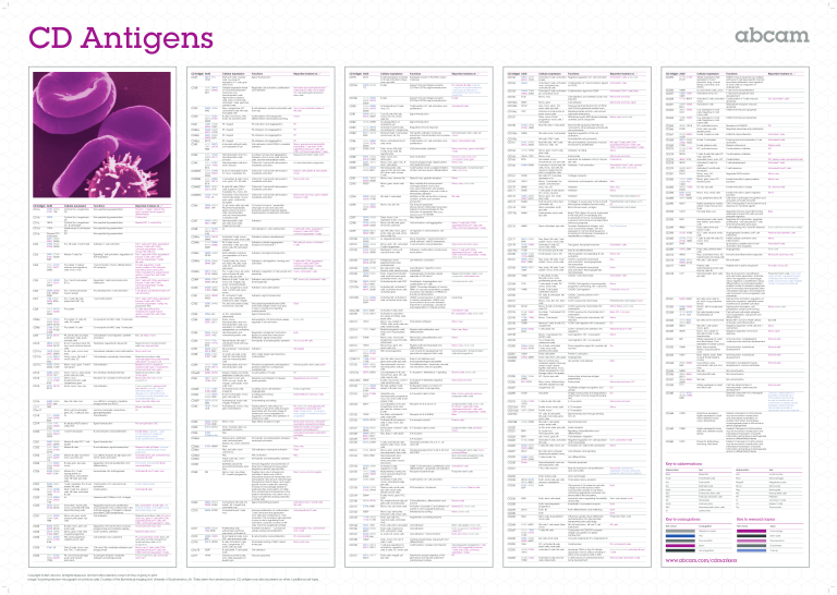 CD Antigens Reference Chart by Abcam