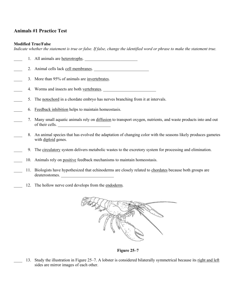 Animals Practice Test Biology