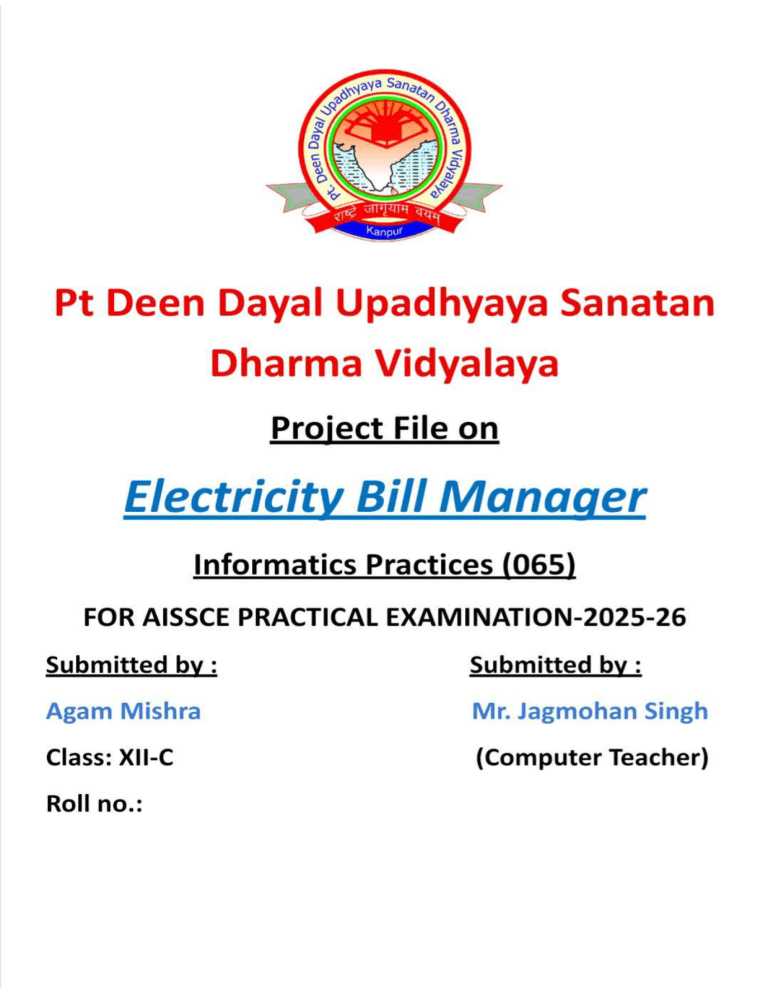 Python Electricity Bill Manager Project