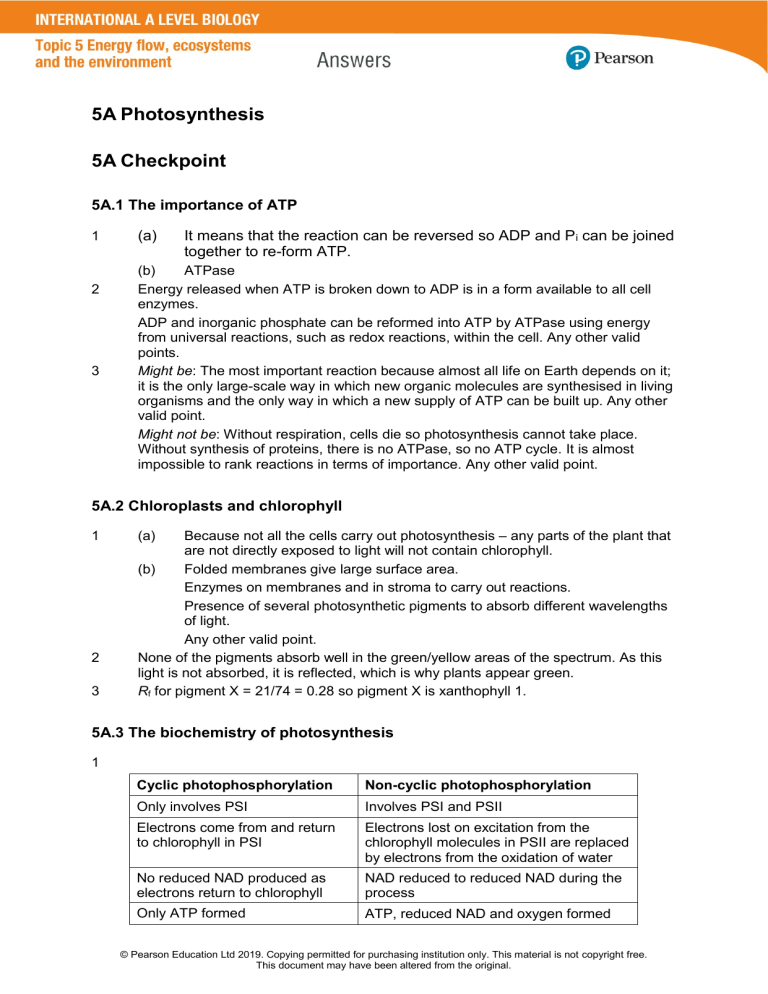 Photosynthesis & Ecology Study Guide
