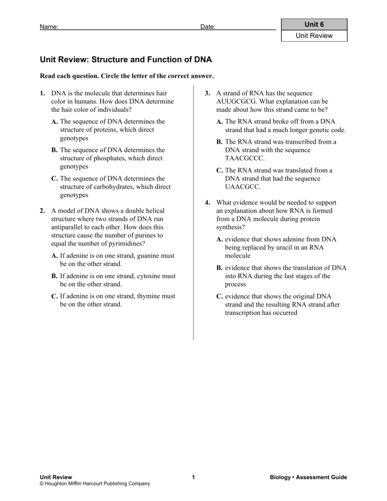 DNA Structure and Function Review