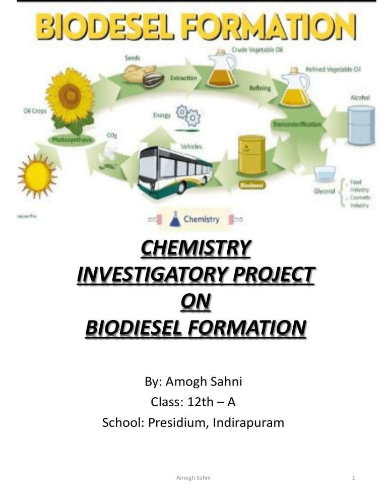 Chemistry Project on Biodiesel Formation