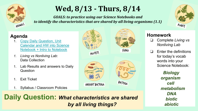 Biology Lesson: Characteristics of Life