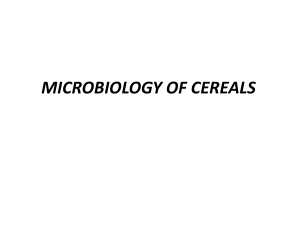 Microbiology of Cereals: Contamination & Preservation