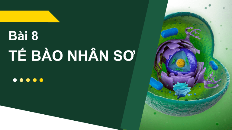 Cell Biology: Structure of Eukaryotic Cells