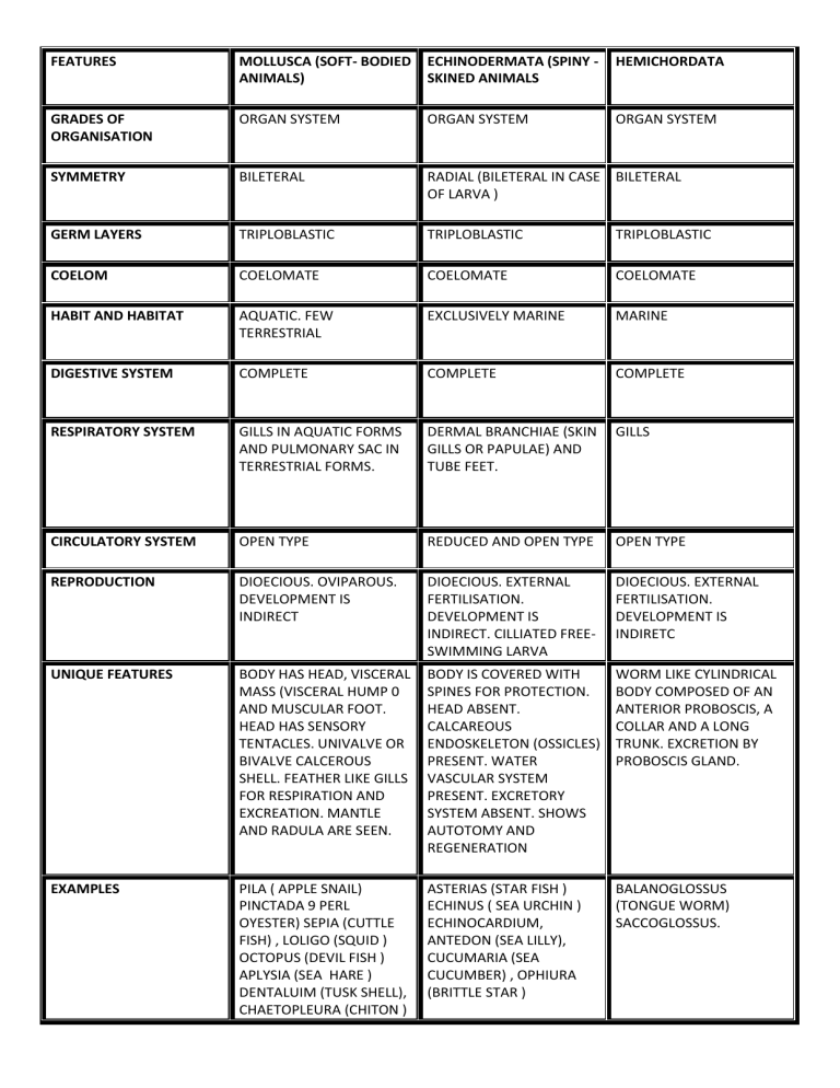 Animal Phyla Comparison Chart: Mollusca, Echinodermata