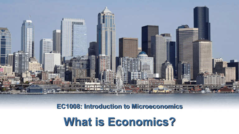 EC1008 Intro to Microeconomics