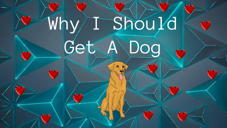 Why I Should Get A Dog: A Persuasive Essay