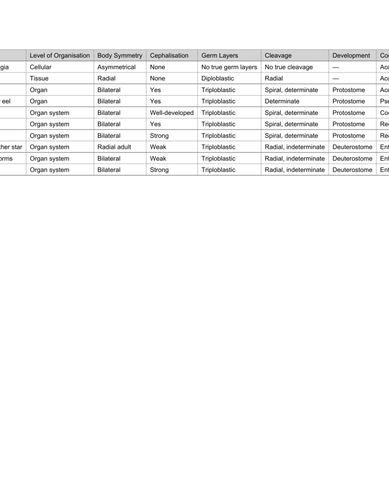 Animal Phyla Characteristics Comparison Table