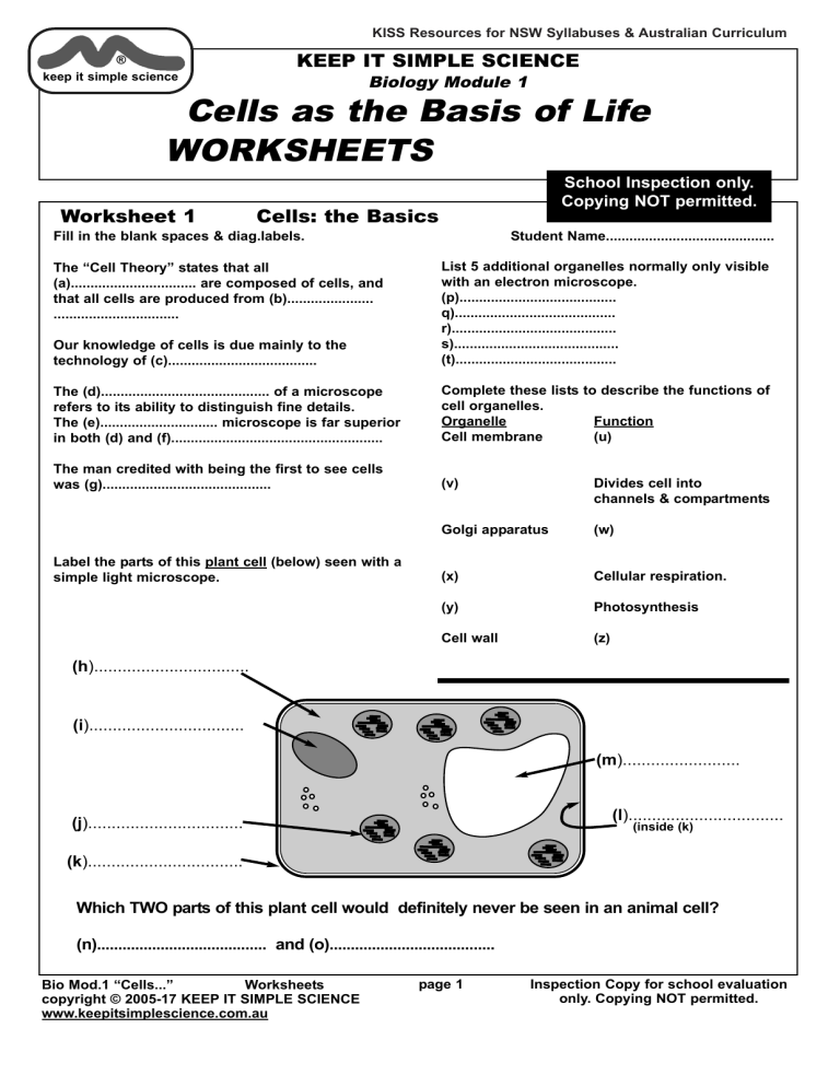 Biology Cells Worksheet Pack High School
