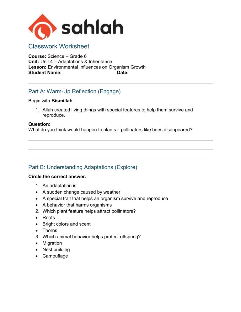 Grade 6 Science Adaptations Worksheet