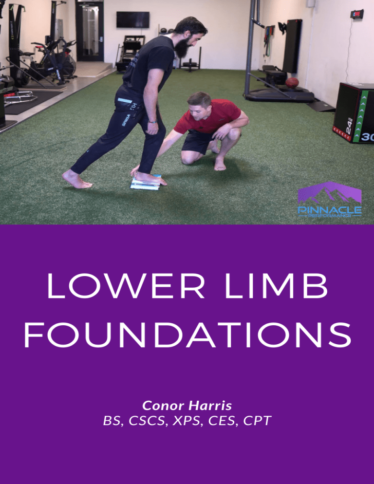 Lower Limb Foundations: 6-Week Program