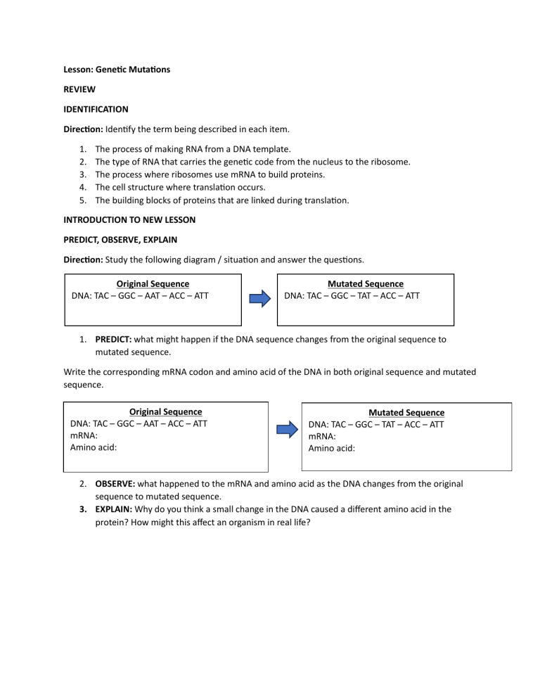 Genetic Mutations Lesson Worksheet - Biology Study Guide