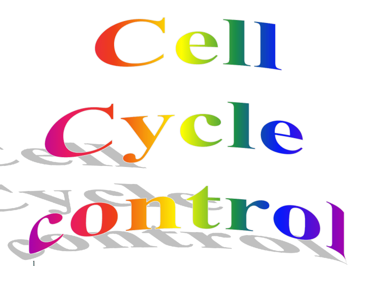 בקרת מחזור התא - ביולוגיה מולקולרית