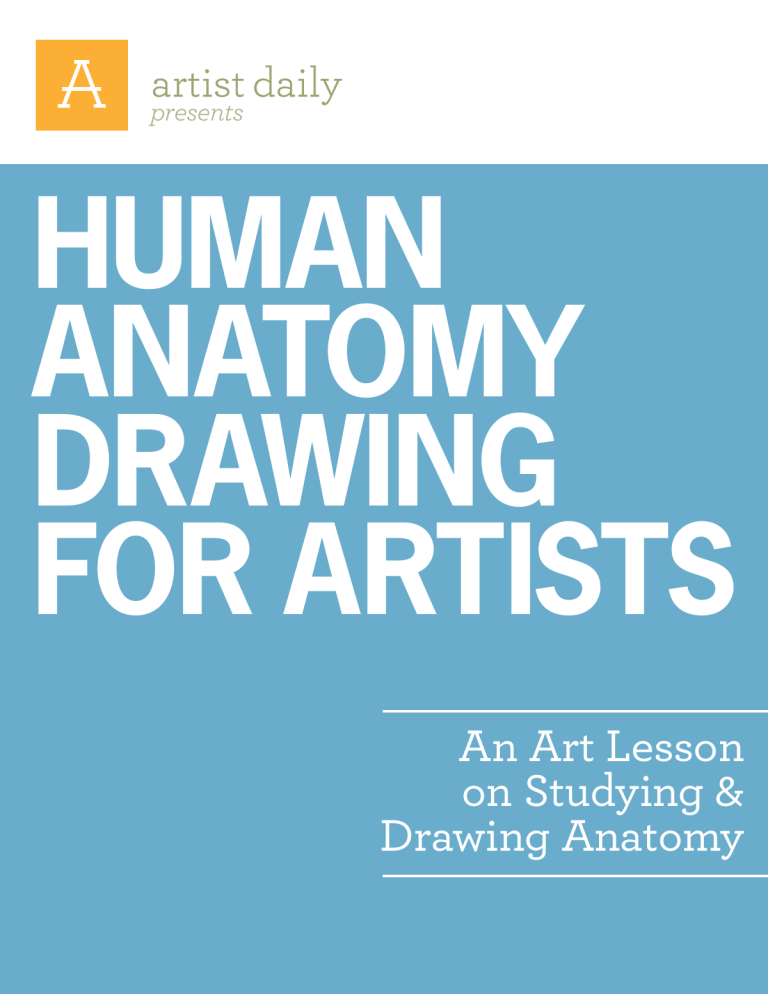Human Anatomy Drawing for Artists: Art Lesson Guide