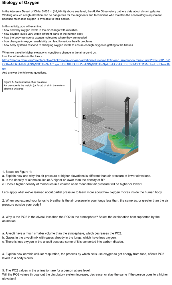 Biology of Oxygen Worksheet