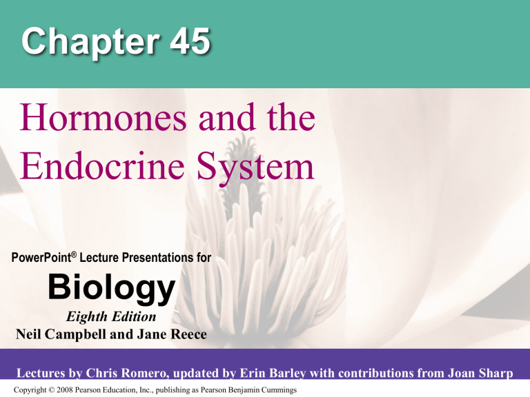 Endocrine System & Hormones Biology