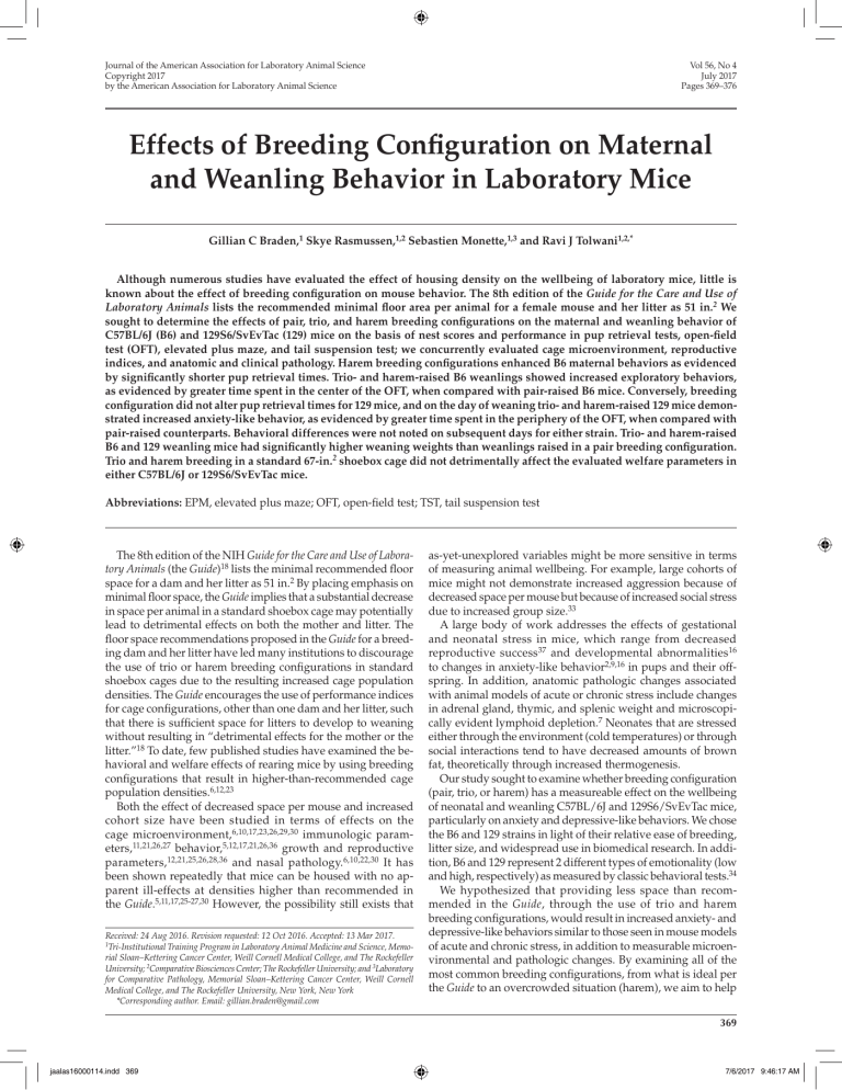 Breeding Configuration Effects on Mouse Behavior