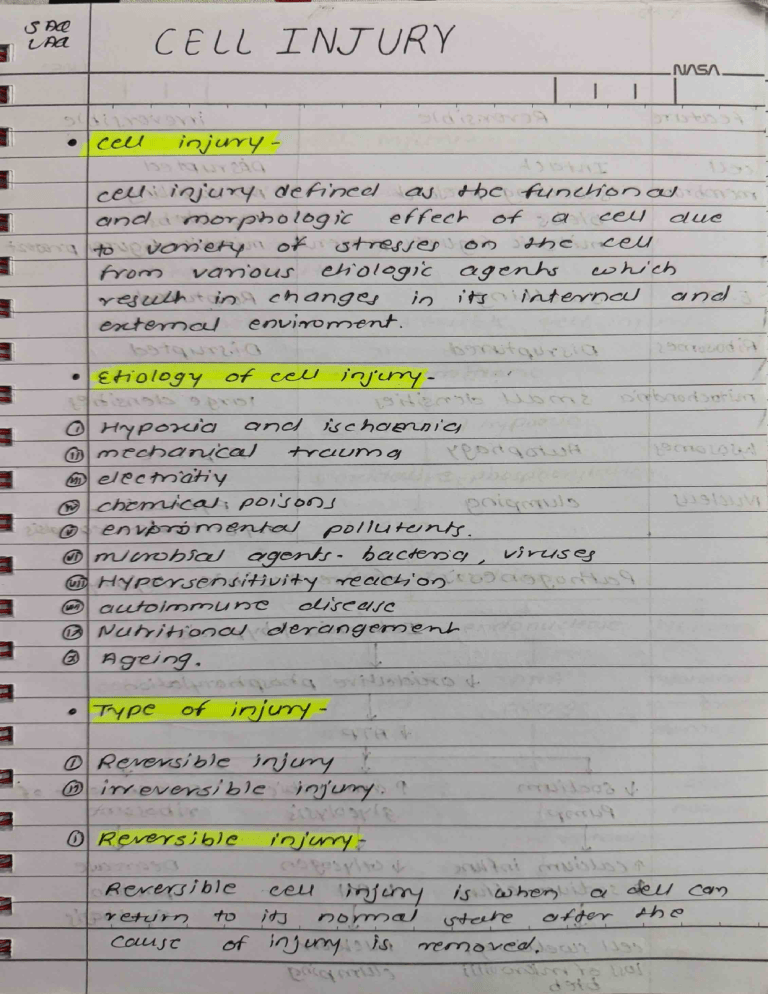 Cell Injury Pathology Lecture Notes