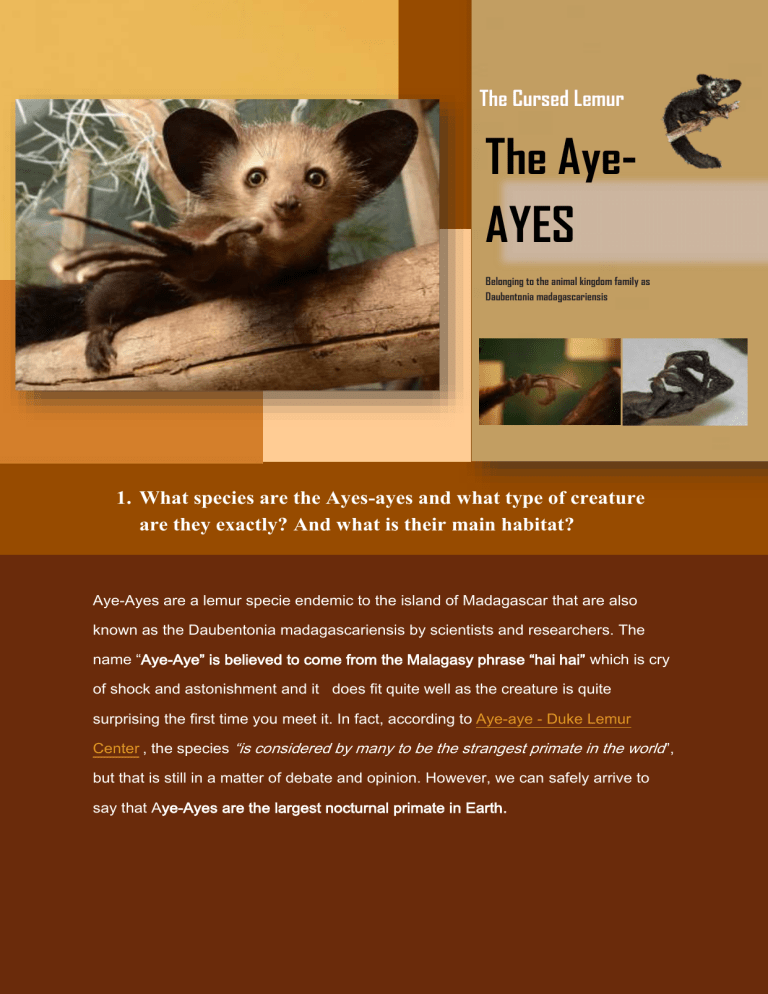 The Cursed Lemur: Aye-Aye Biology Guide