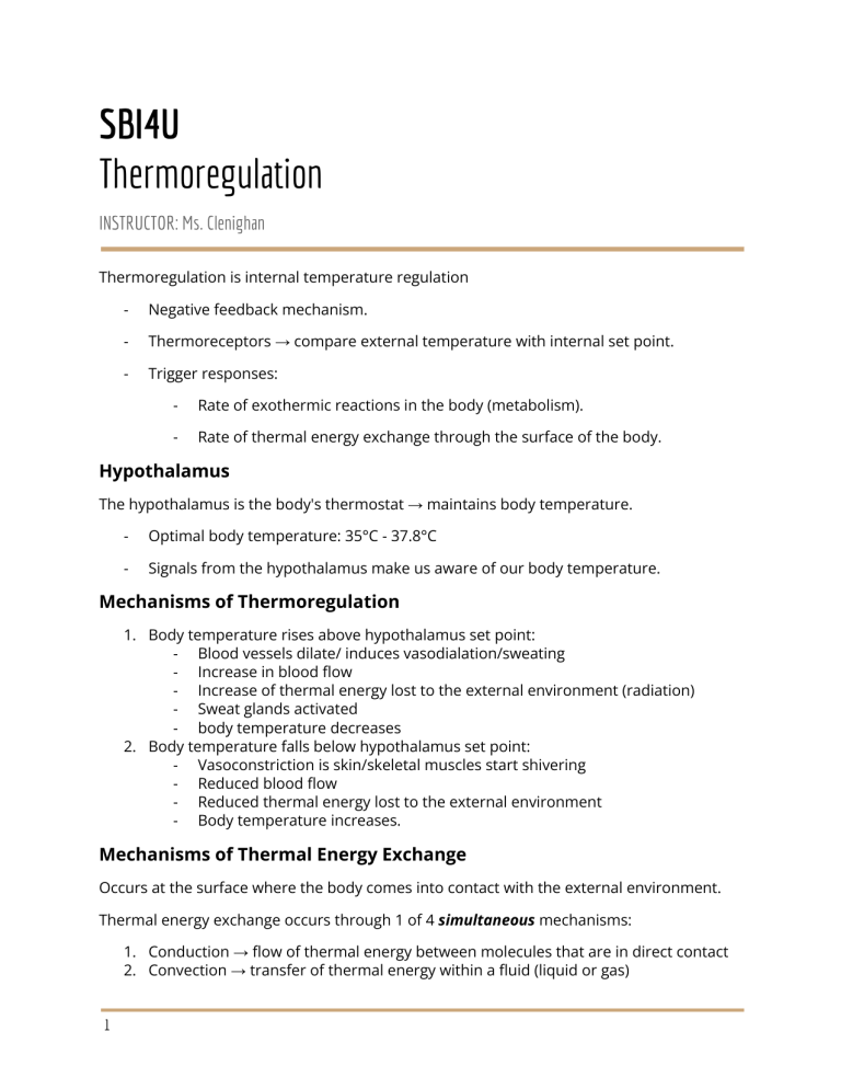 SBI4U Notes: Thermoregulation