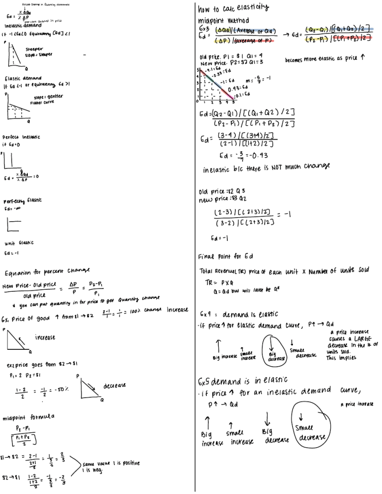Economics Lecture Notes: Elasticity