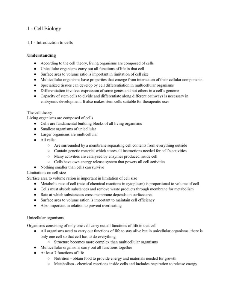 Biology Study Notes Guide