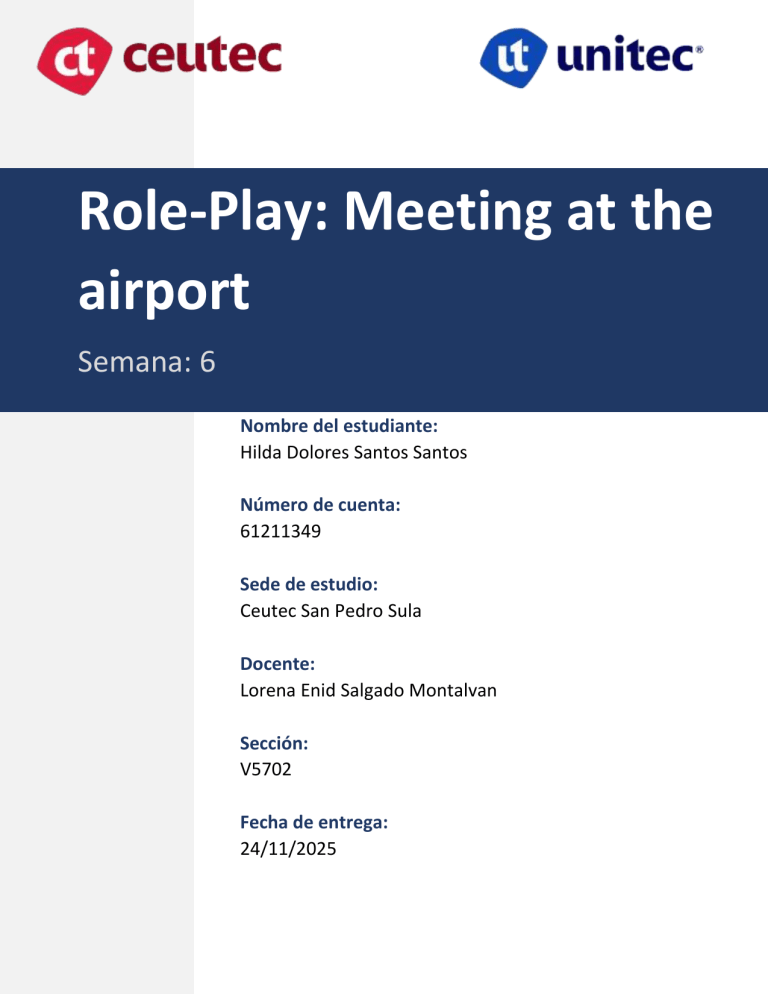 English Role-Play: Airport Meeting