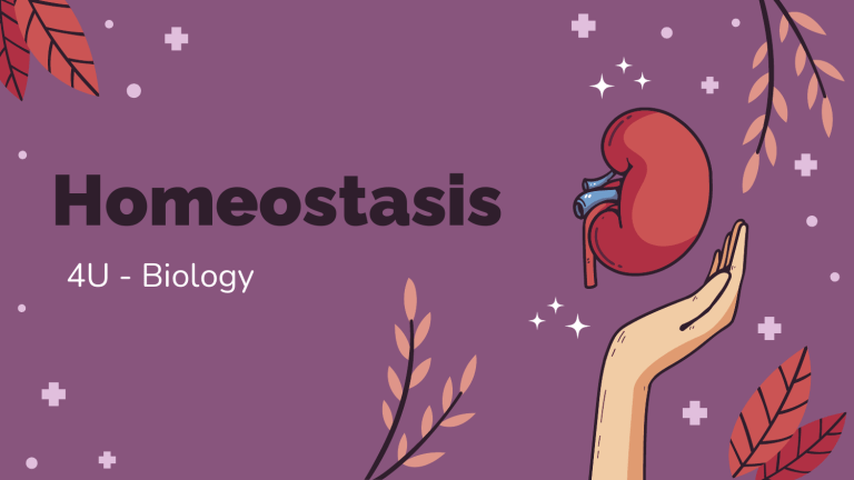 Homeostasis Biology 4U Presentation