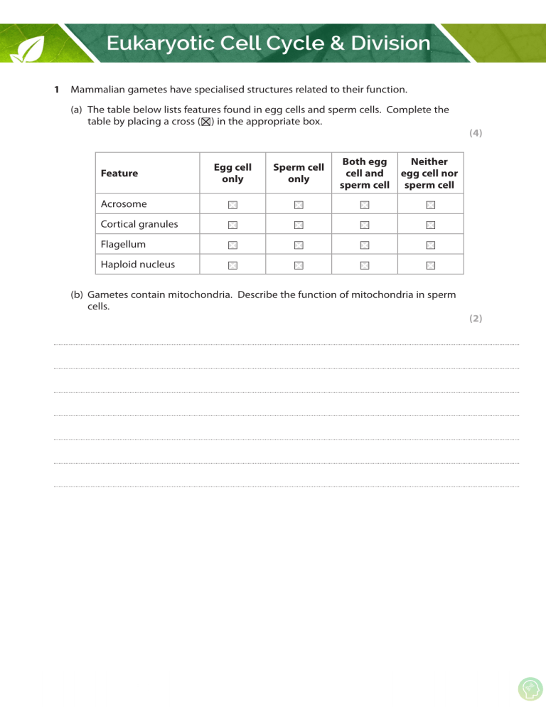 Eukaryotic Cell Cycle Division 3 QP